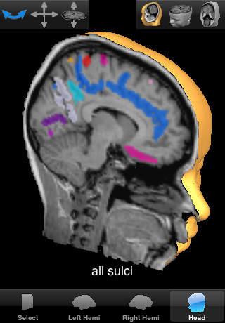 Brain Tutor 3D 1.0 | De Psycholoog