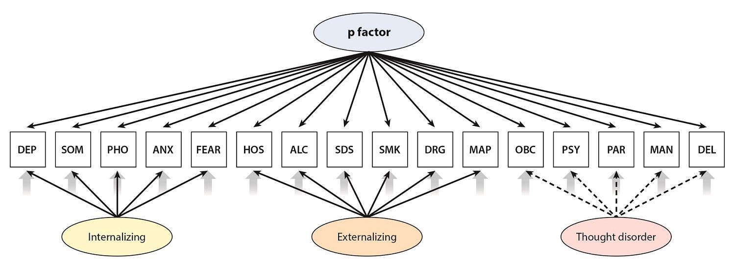 De herontdekking van de p-factor | De Psycholoog