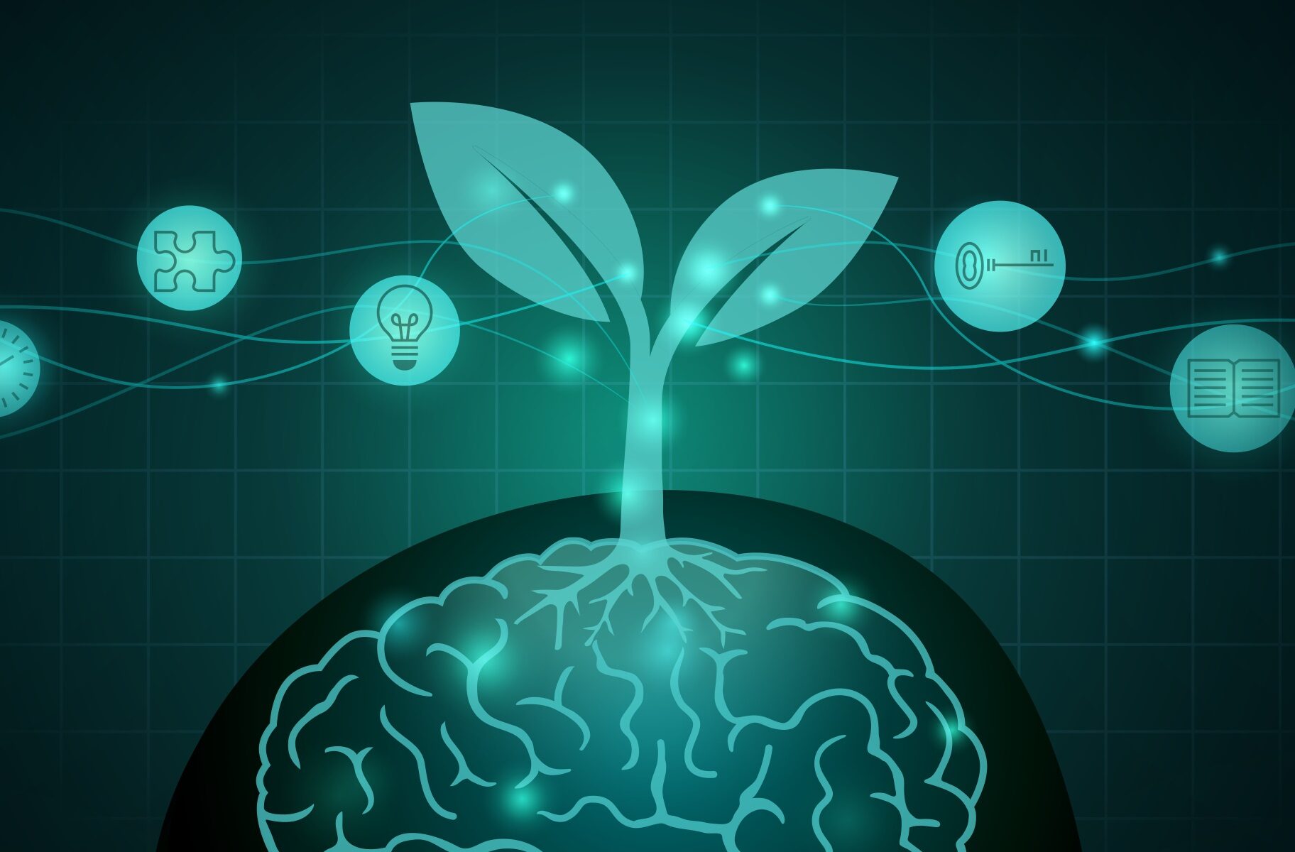 Groeidiagrammen voor het brein | De Psycholoog